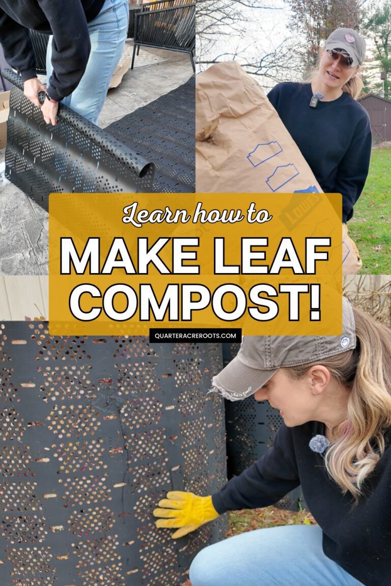Leaf compost for free...learn how to make your own at home!